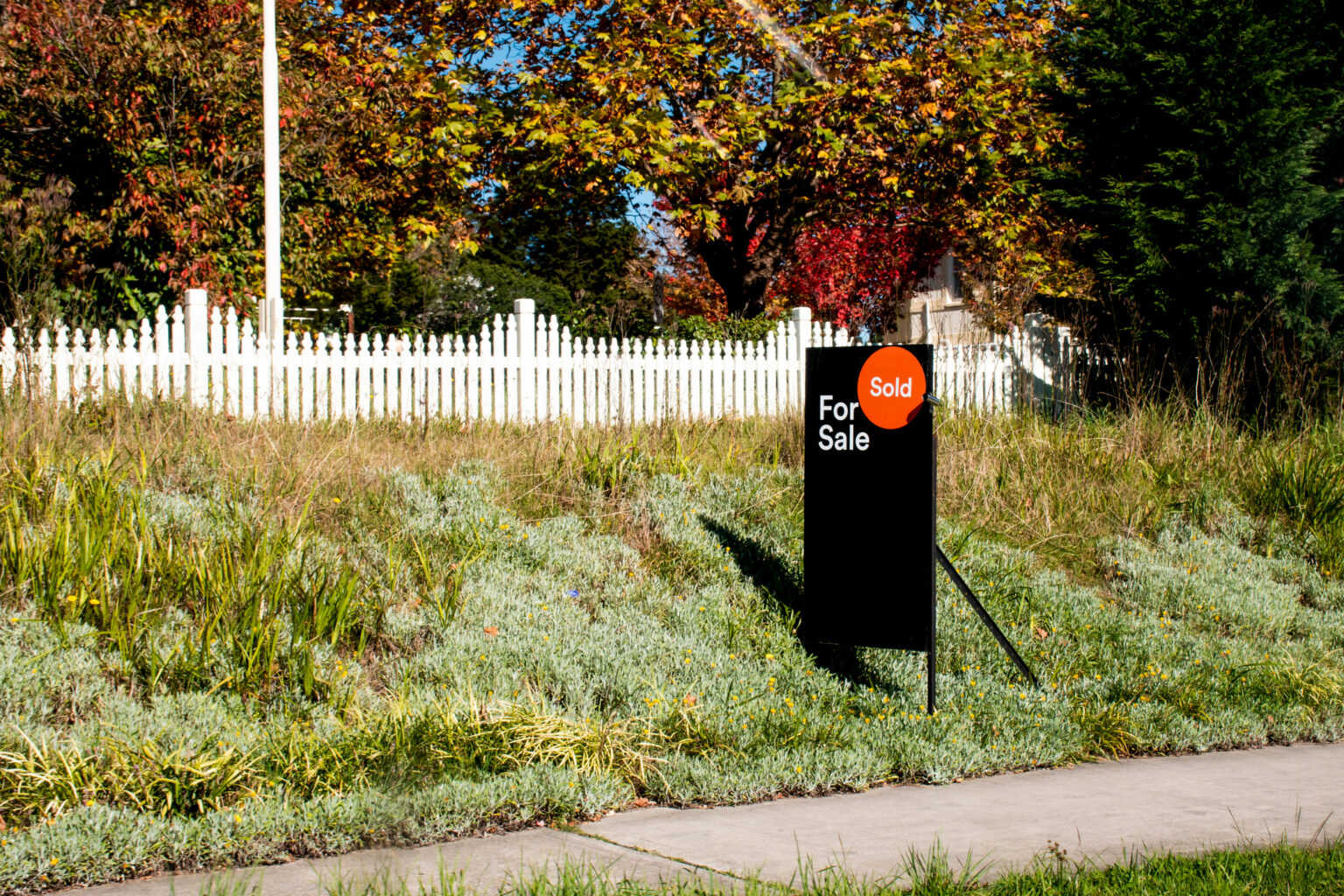 Auctions Where The Action Is – Hotspotting